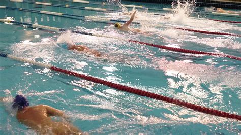 Swim Gala 2019 Inf Fni Blog