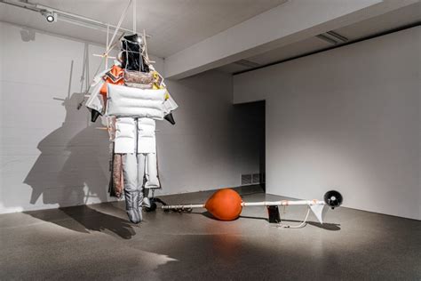 Exhibition Explores Relationship Between Icelands Eider Ducks And Farmers