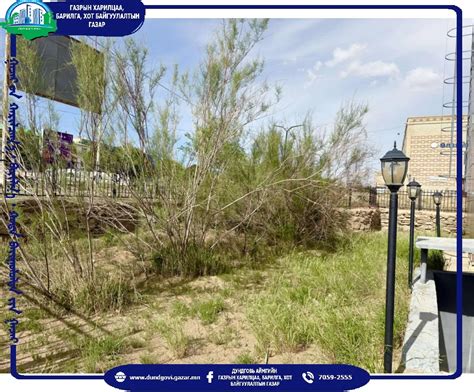 БҮХ НИЙТИЙН ИХ ЦЭВЭРЛЭГЭЭ