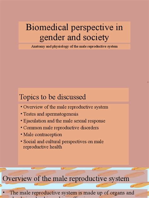 Biomedical Perspective In Gender And Society Pdf Birth Control