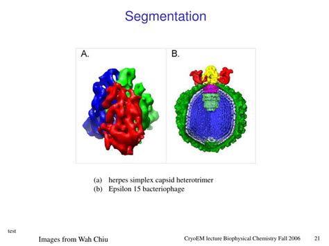 Ppt Growth Of Em Method For Determining Structures Of Macromolecular Assemblies Powerpoint