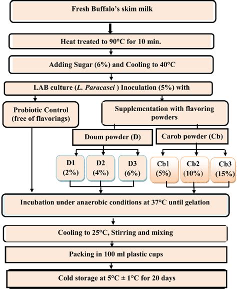 Schematic Flow Diagram Of The Basic Steps Involved In Making Synbiotic