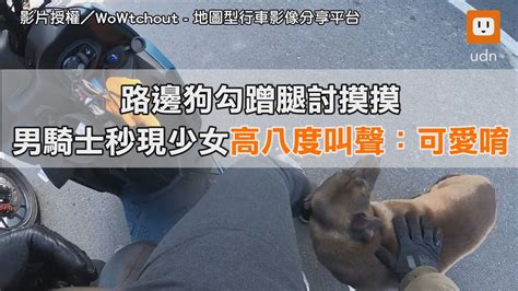路邊狗勾蹭腿討摸摸 男騎士秒現少女高八度叫聲：可愛唷｜台東｜搞笑 Youtube