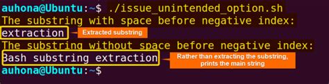 How To Extract Bash Substring 5 Methods Linuxsimply