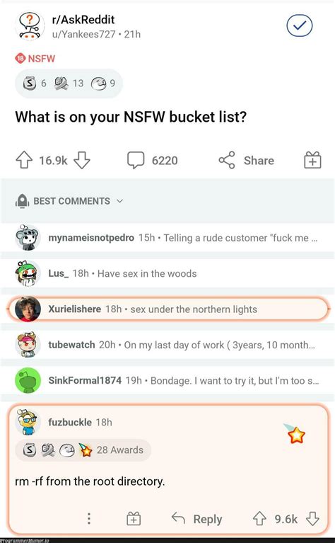 NSFW Alert ProgrammerHumor Io