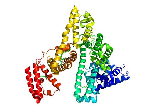 Understanding Protein Structure QPS