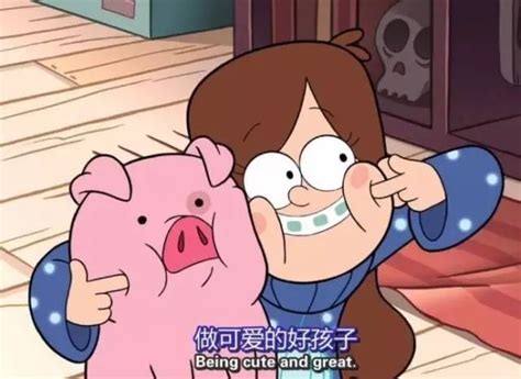 你是我全世界最喜欢的猪