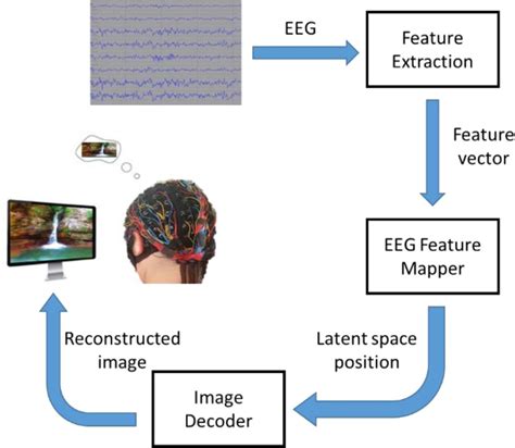 Natural Image Reconstruction From Brain Waves A Novel Visual Bci