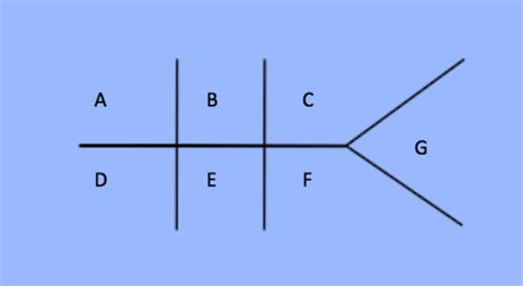 DM CMP Flashcards Quizlet