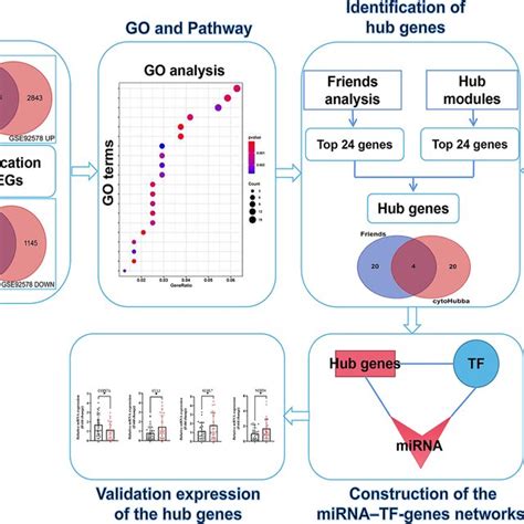 Study Design And Data Preprocessing Download Scientific Diagram