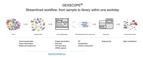 ntr gexscope · issue 1734 · ebispot efo · github