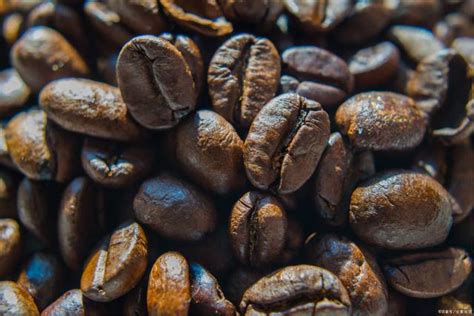深烘的咖啡豆咖啡因会减少吗 雅苑茶语 天下普洱 云南网
