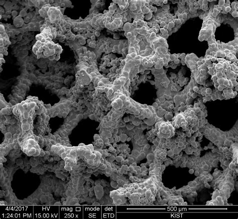 Figure S3 Sem Image Of The Cu Mn Foam Heat Treated At 800°c For 2