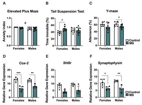 Maternal Separation Leads To Regional Hippocampal Microglial Activation And Alters The Behavior