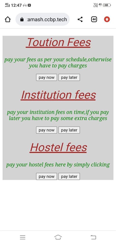 Day8 Nxtwave Ccbpmy Sayed Mohammed Altamash