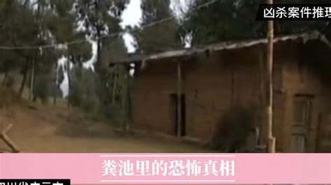 四川省广元市 粪池里的恐怖真相 凶杀案件推理合集 凶杀案件推理合集 哔哩哔哩视频