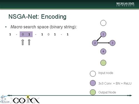 Nsganet Neural Architecture Search Using Multiobjective Genetic Algorithm