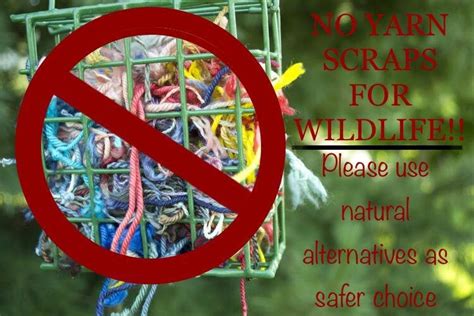 nesting material warning string yarn twine rope warning r squirrels