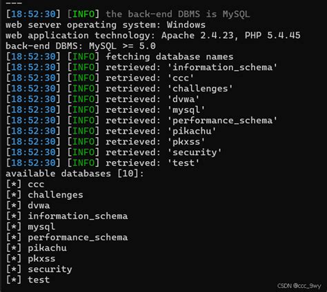 sql labs靶场第十五关测试报告 sql靶场15关 csdn博客