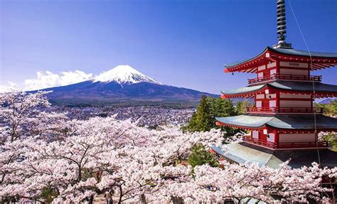 Япон гадаадын жуулчдын дунд судалгаа хийнэ