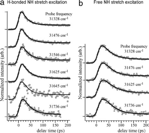 time evolutions of the transient broad continuum at several uv
