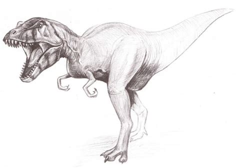 How To Draw A T Rex With A Pencil Step By Step Drawing Tutorial