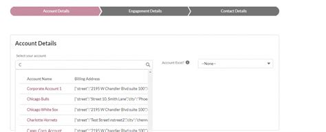 Web To Case Form With Custom Field Look Up UI MST Solutions
