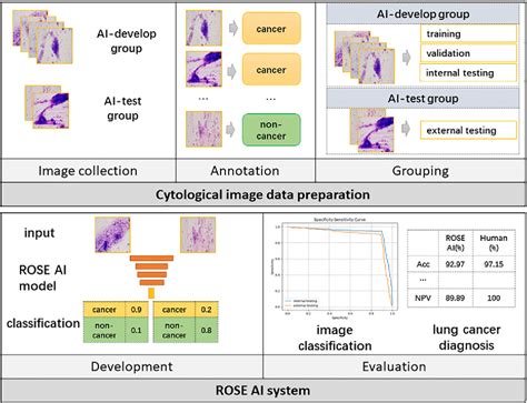 Figure 1 From The Application Of Arti ﬁ Cial Intelligence For Rapid On