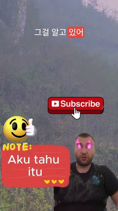 절벽원숭이 위험한 절벽을 타는 믿기 힘든 순간 Youtube