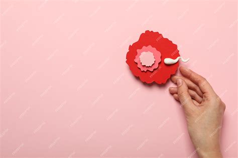 Premium Photo Fertilization Concept Ovulation Period Sperm And Egg