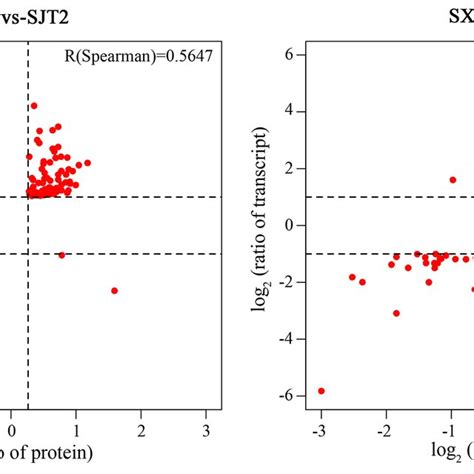 Correlation Between The Proteome And Transcriptome In “sj” And “sx” Download Scientific Diagram