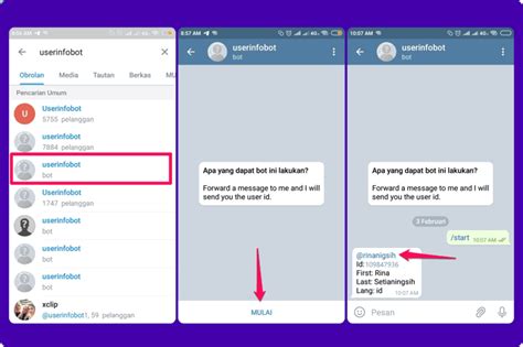 Cara Melihat Id Telegram Mateng Id
