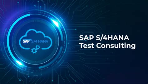 Tritusa Mastering Sap