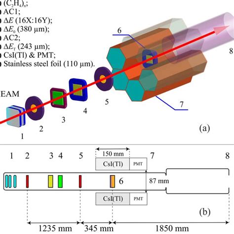 Three Dimensional Scheme Of The Experimental Setup A And Its Section Download Scientific