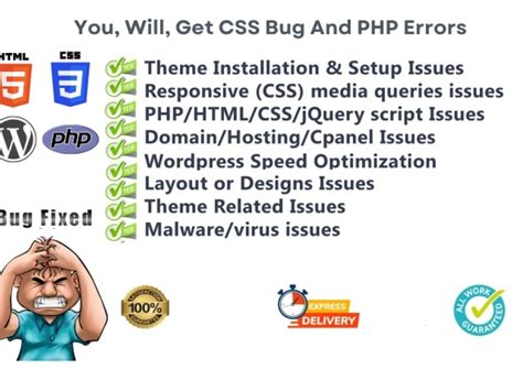 Css Bugs And Php Errors Fix In Wordpress Upwork