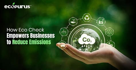 How Eco Check Helps Businesses Cut Carbon Emissions