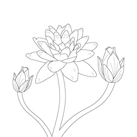 손으로 그린 아름다운 백합 꽃 색칠 페이지 라인 아트 그림 프리미엄 벡터