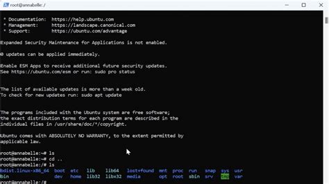 deploying applications with nginx servercore