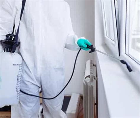 Pest Control Perth Local Exterminators And Treatments