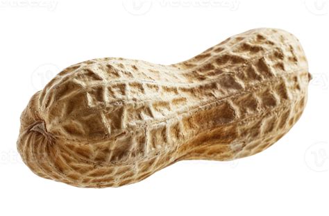 Single Peanut In Shell 55470706 Png