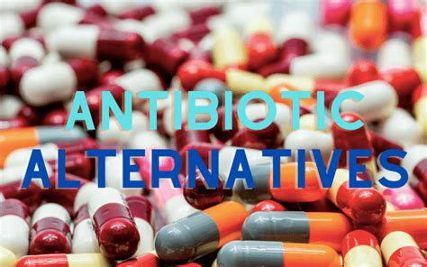 Antibiotic Alternatives Bobzillanp Antibiotic Alternatives Bobzillanp