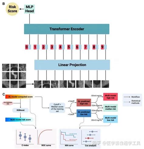 （中科院一区radiology文章）周日上午九点免费训练营直播：transformer实操讲解 知乎