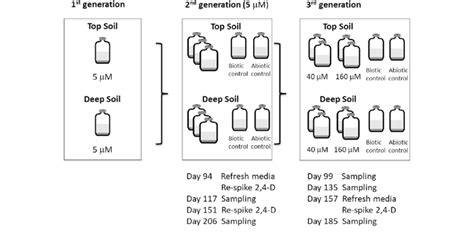 Schematic Representation Of The Experimental Set Up Download Scientific Diagram