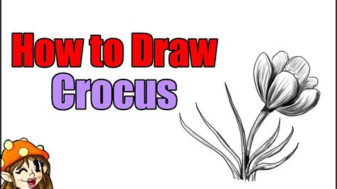 How To Draw Crocus Tutorial Painting With Parasolia Crocus Drawing Skills Drawings