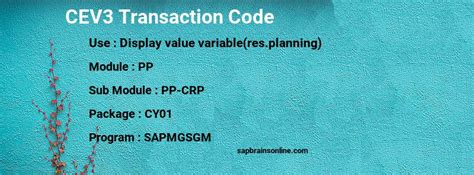 cev3 sap tcode for display value variable res planning