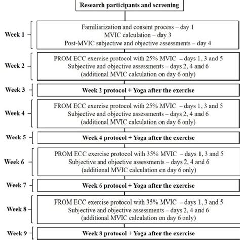 Simplified Experimental Design Download Scientific Diagram
