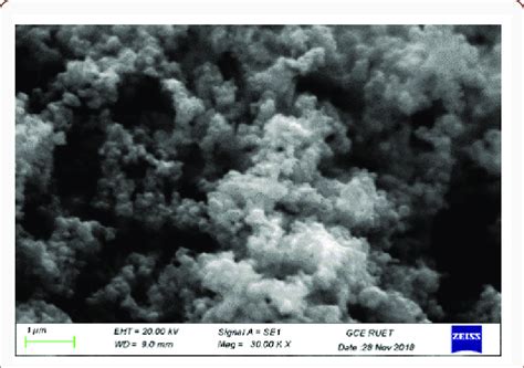 SEM Image Of TiO Nanoparticles Download Scientific Diagram