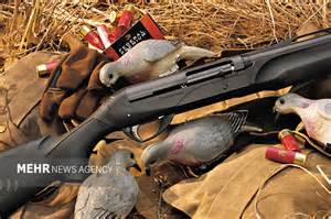 کشف سلاح شکاری غیرمجاز در منطقه شکار ممنوع کوه سفید دماوند خبرگزاری