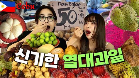 🇵🇭필리핀와서 꼭 먹어야 할 과즙팡팡~ 신기한 열대과일 먹방 브이로그‼️세부 과일시장 구경은 덤~ 【필리핀5】 Youtube