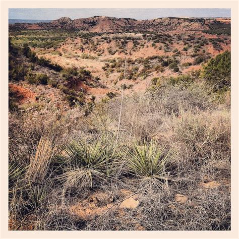 Yucca Canyon West Texas Llano Estacado Dry Arid Drought Desert West